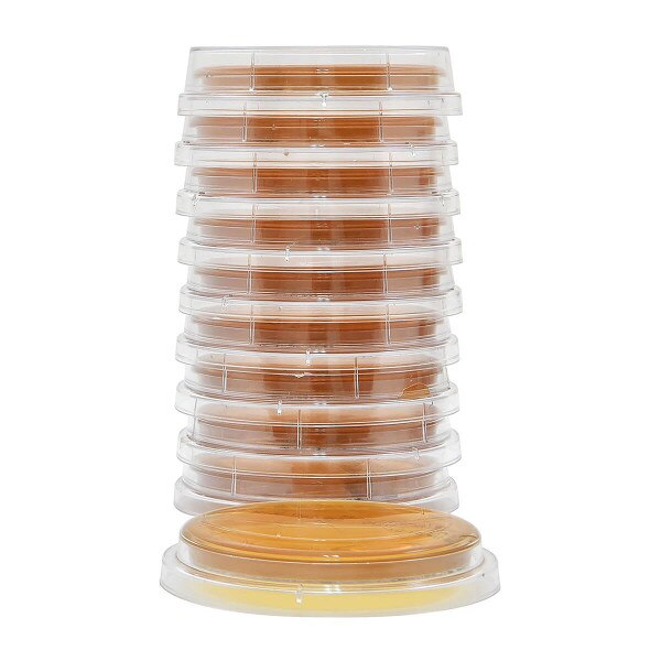 Hardy Diagnostics LokTight™, Contact Plates, 15x65mm | DiNovo