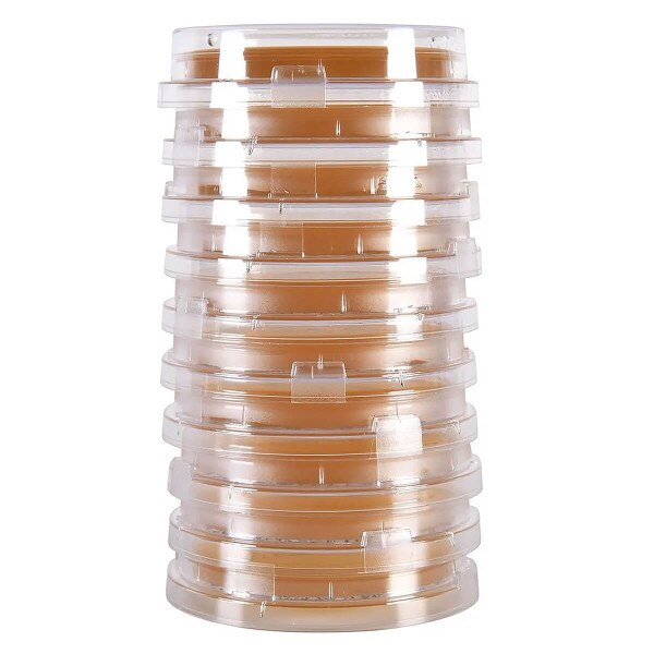 Hardy Diagnostics LokTight™, Contact Plates, 15x65mm | DiNovo